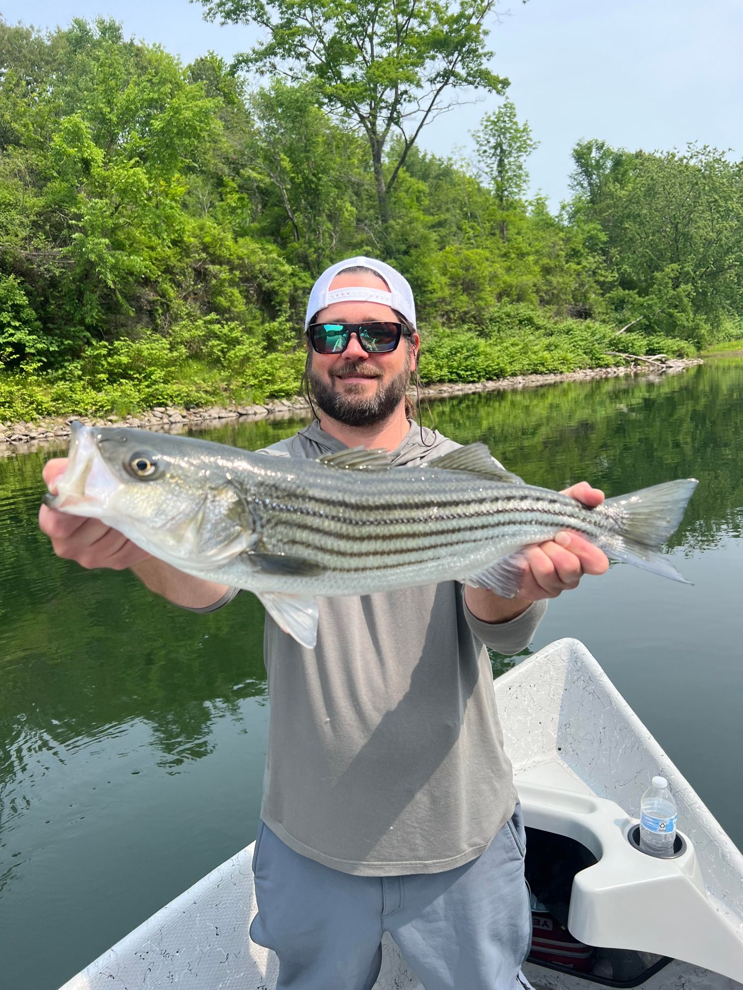 Catskill Fly Fishing Guides – Fly Fish the Upper Delaware of the Catskills